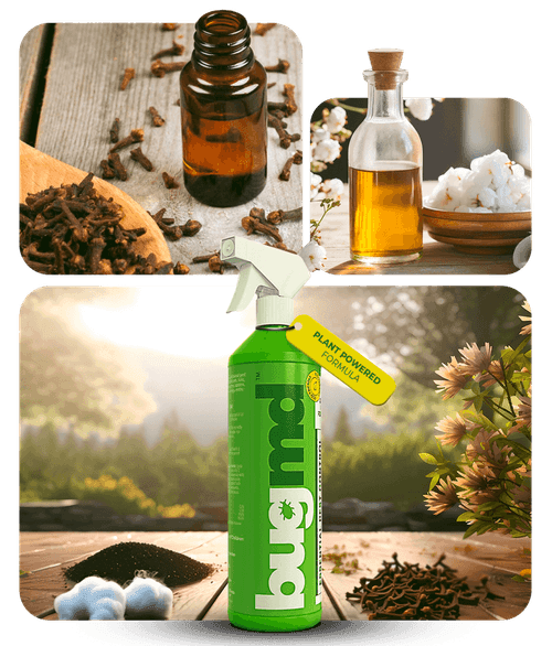 BugMD Essential Pest Control