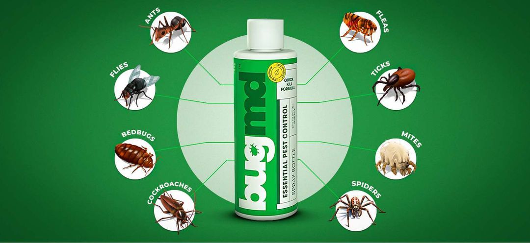 BugMD Essential Pest Control