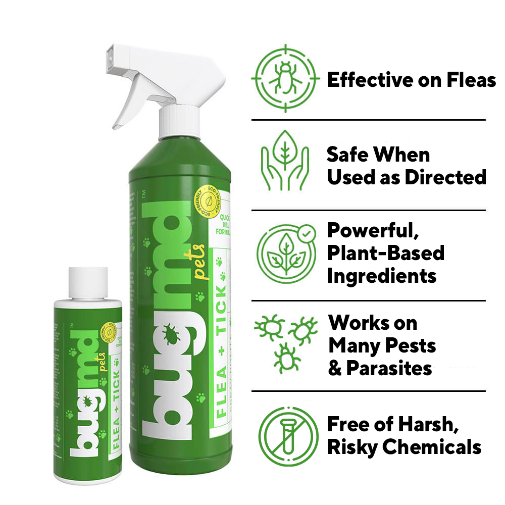 BugMD: ‘Just Ticks’ - Flea & Tick Concentrate