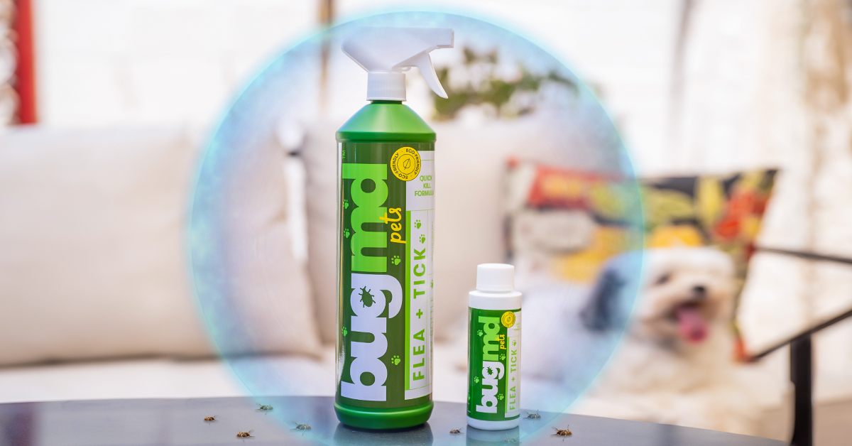 BugMD: ‘Just Ticks’ - Flea & Tick Concentrate