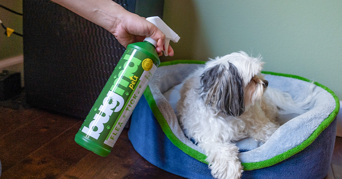 BugMD: ‘Just Ticks’ - Flea & Tick Concentrate