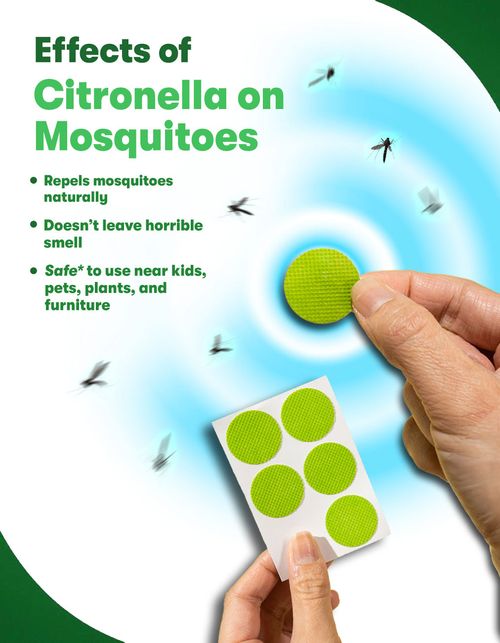 BugMD Squito Stickers