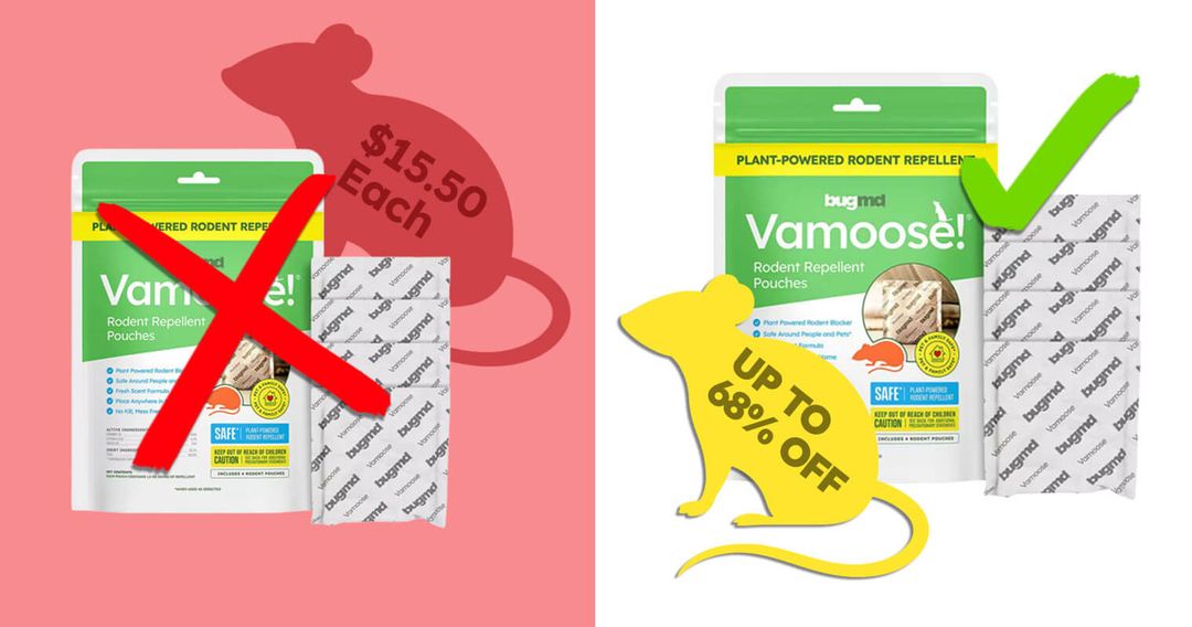 Vamoose
