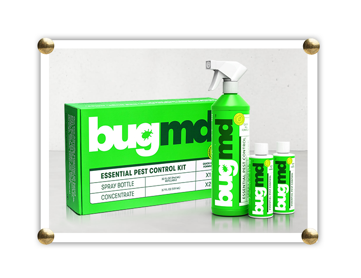 Essential Pest Control - BugMD