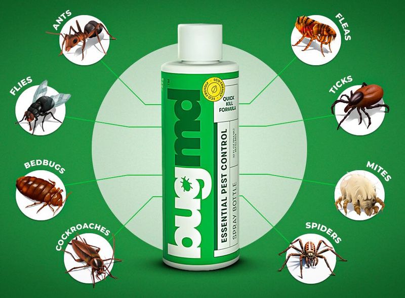 BugMD Essential Pest Control