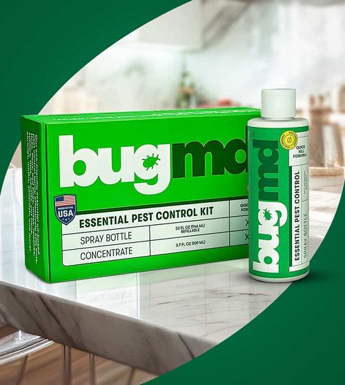 BugMD Essential Pest Control